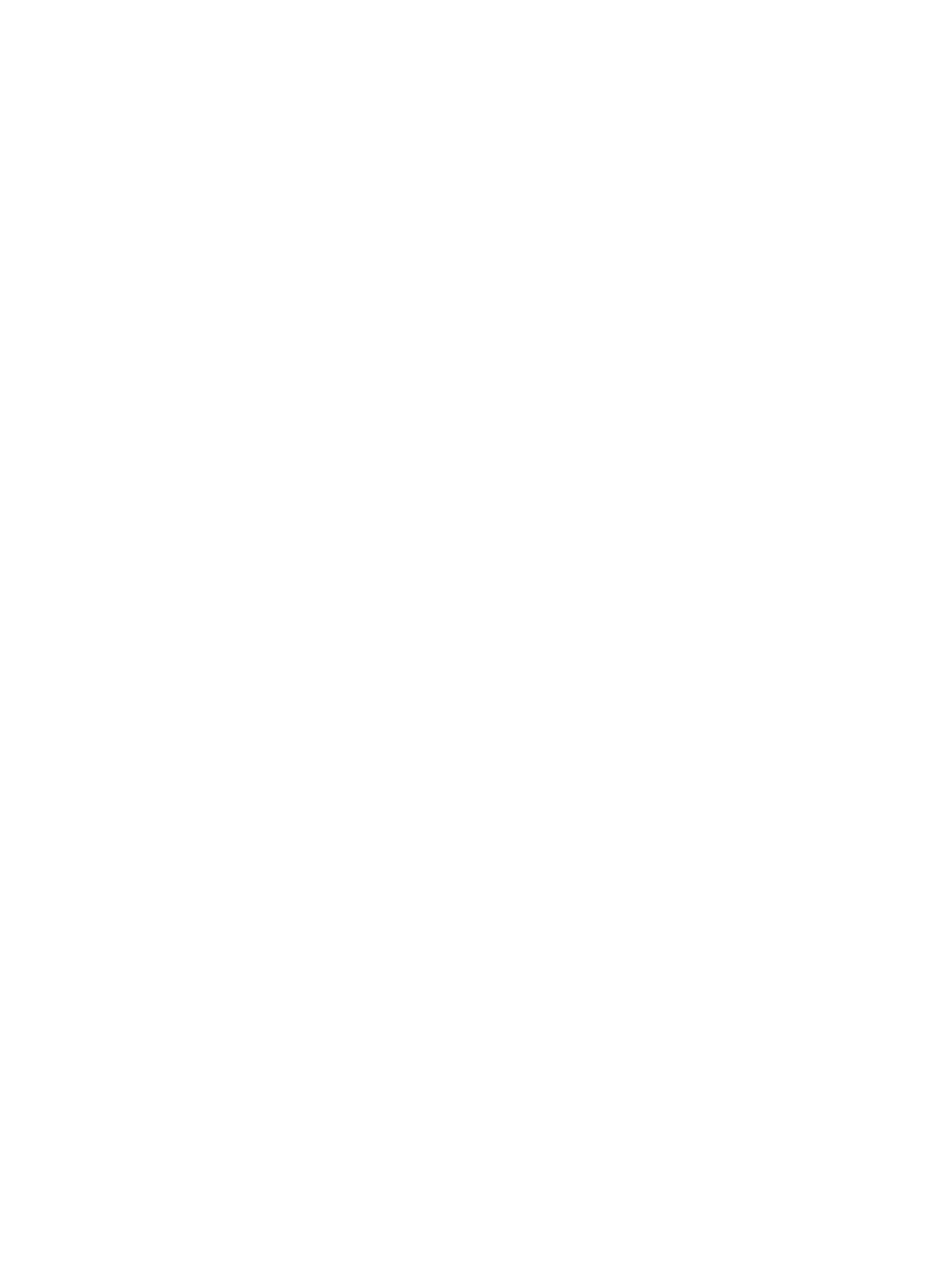 E REPORTING STANDARDS E REPORTING STANDARDS
